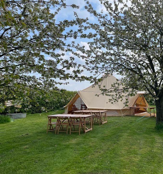 Home [www.tepeetenthire.co.uk]